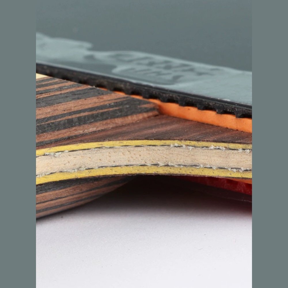 DHS 9 Star H9002,H9006 Table Tennis Bat Racket – SPPHONEIX SPORT