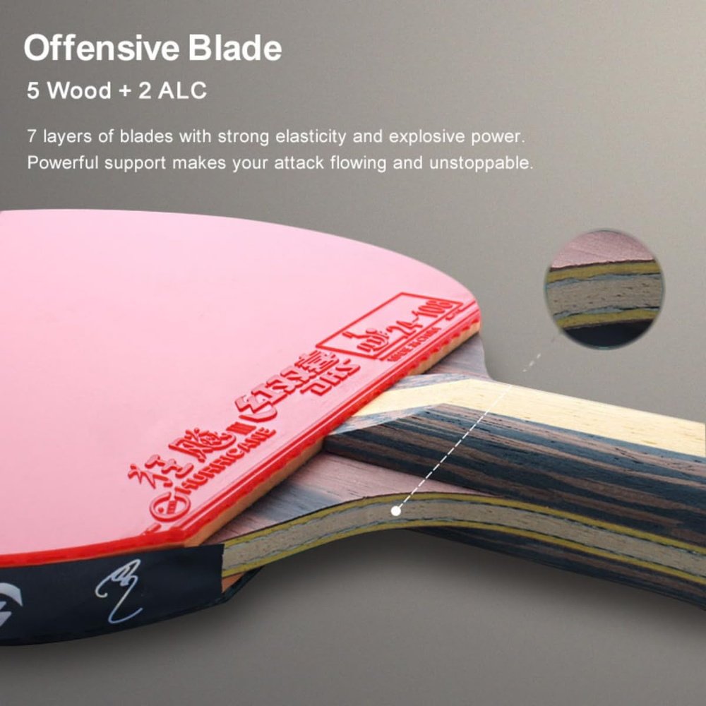 DHS 9 Star H9002,H9006 Table Tennis Bat Racket – SP x SPORT