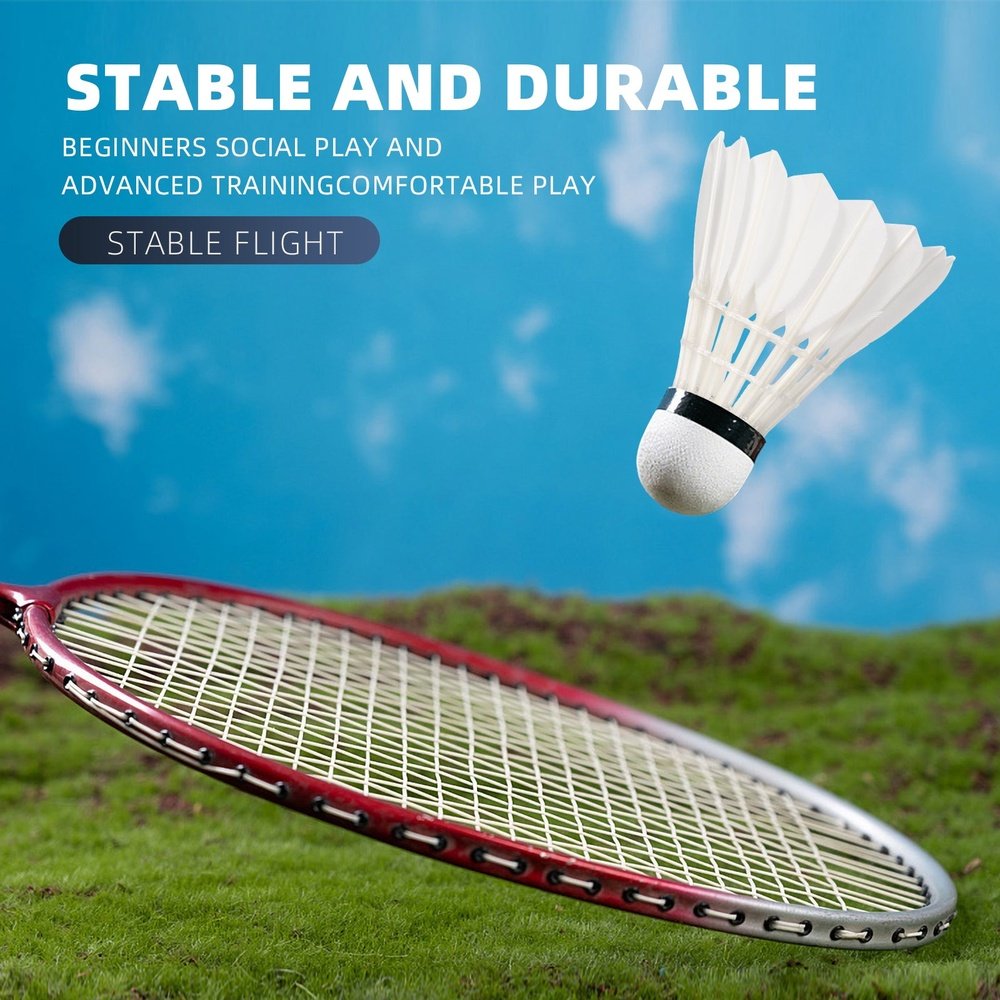 1DOZ/12PCS Badminton Top Gooes Feather Shuttlecocks SPPHONEIX BLACK ...